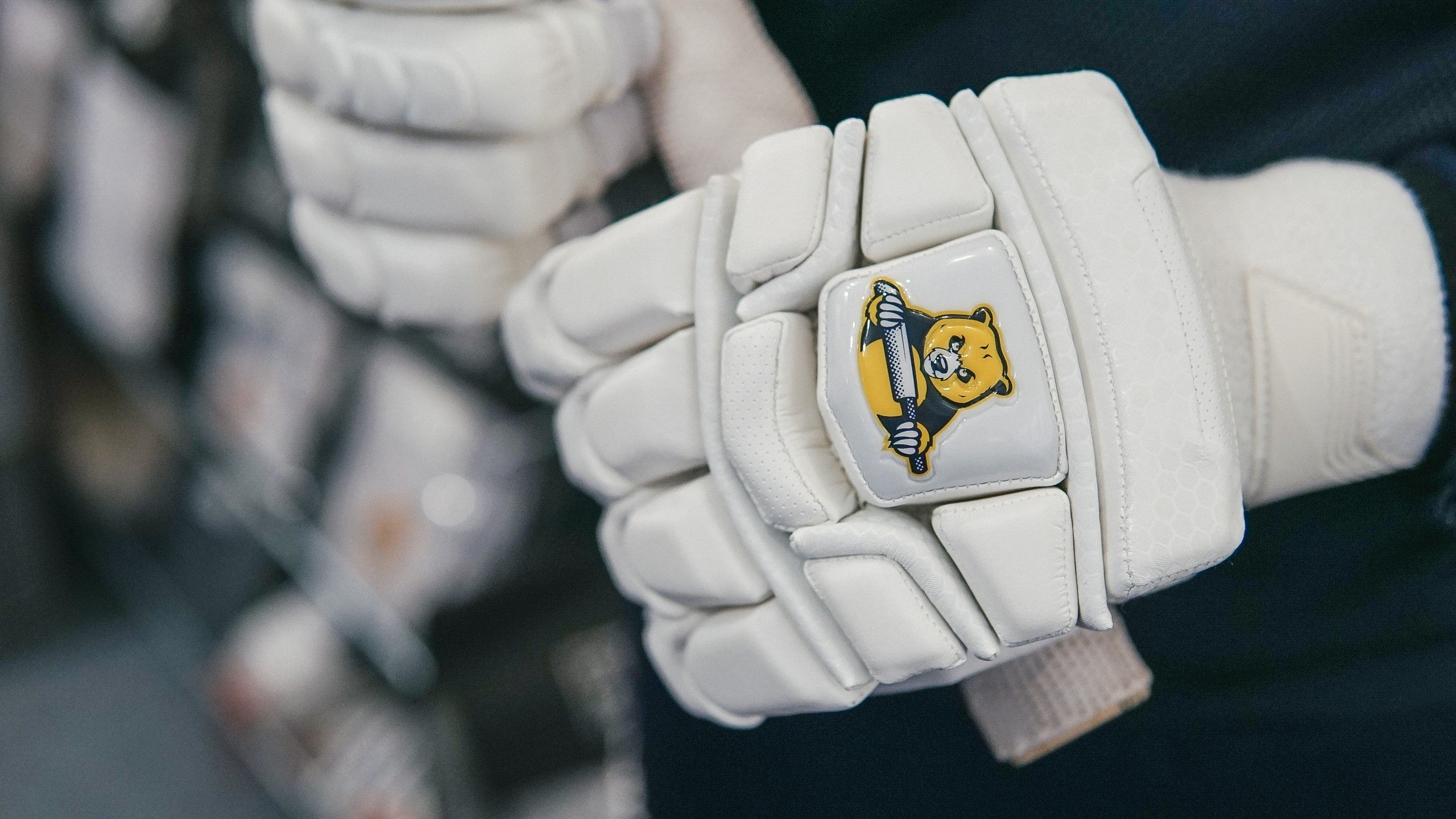 The Cricket Store | Order from the widest selection of cricket brands